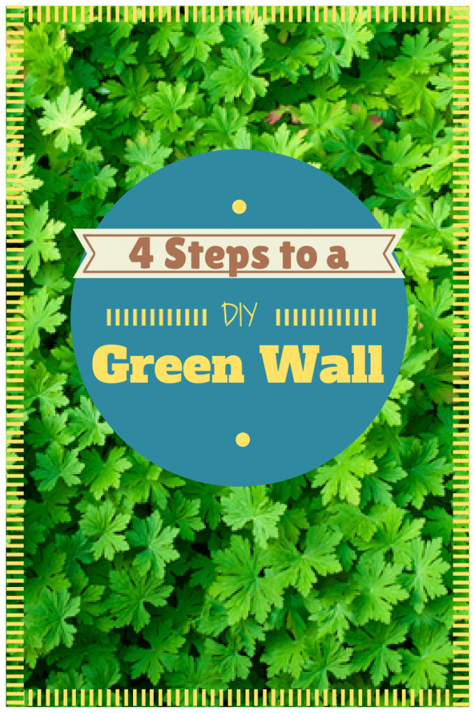 DIY Green Wall Made Easy in 4 Simple Steps